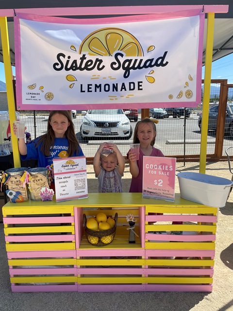 397+ Juicy Lemonade Stand Names for 2024 | Lemonade Day